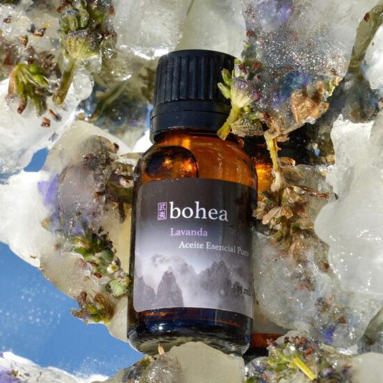 Bohea – Casa Obsidiana